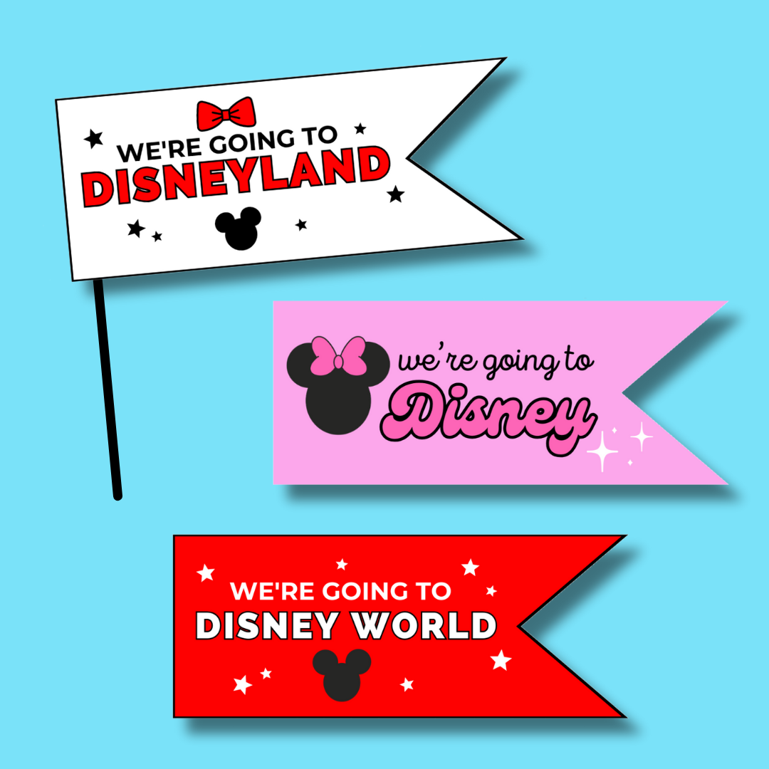 Disney Flags – Celebration Stylist
